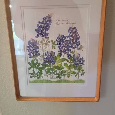Pressed Flower Botanical Print, 11x14 Double Matted, Texas Aggie Maroon ...