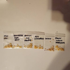 Korean Gochu Pepper Seeds - Etsy