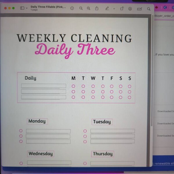 Editable Daily FIVE Cleaning Planner, Weekly Cleaning Schedule, Chore ...