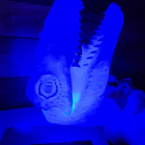 Tyrannosaurus Rex Wall Hanging 3D Printed Accent Lamp, T-rex, Novelty ...