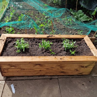 Charles Taylor 3 Piece Wooden Veg Trough Planter Set. - Etsy UK