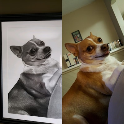 Custom Dog Drawing, Dog Memorial, Photo to Sketch, Charcoal Drawing ...