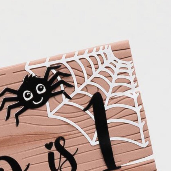 Spider SVG / Spider Web SVG / Insect SVG / Cobweb Svg / Halloween Svg ...