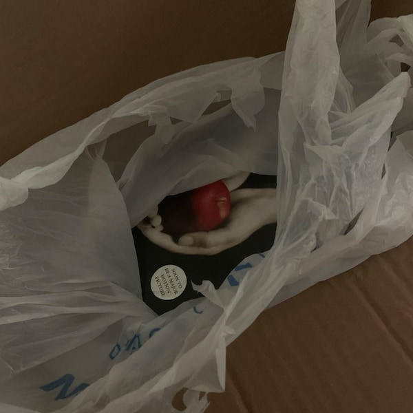 Pinky and the Brain Toys - Warner Brothers - Pinky and the Brain - Lab ...