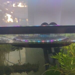 Skeleton Human Hand right Hand Prop Sculpture | Etsy