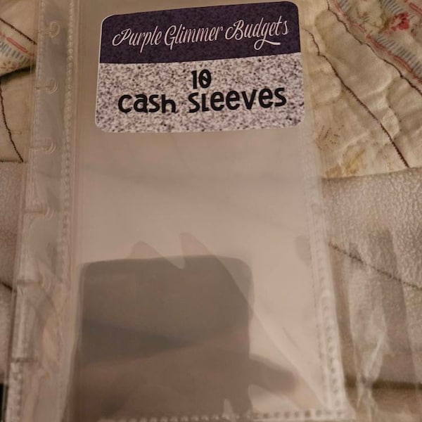 Disc Bound Clear Cash Envelopes: Budgeting System - Etsy