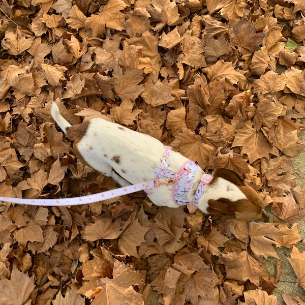 Audrey Dog ID Tag Silver/aqua - Etsy