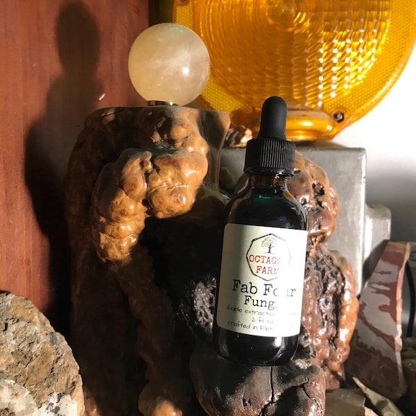 Turkey Tail Tincture Double Extraction Mushroom Herbal Natural ...