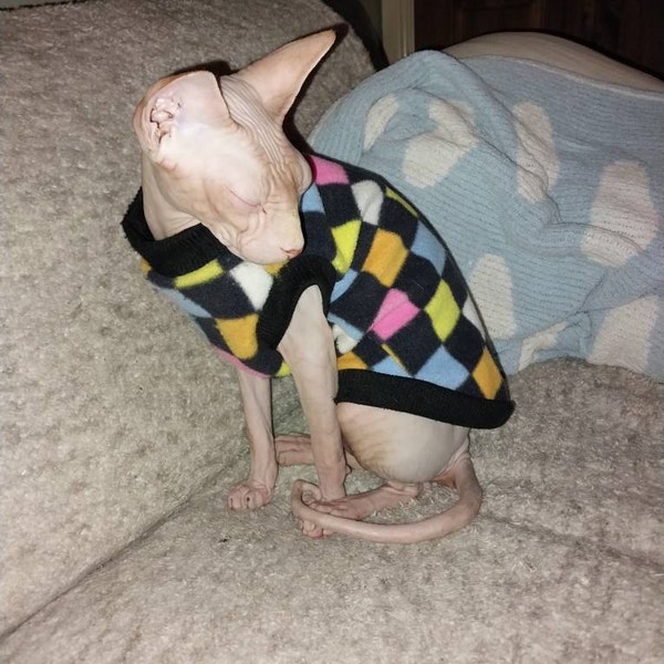 Sphynx Cat Clothes, Clothes, Long Sleeves Sphynx Cat Jumper, Sphynx ...