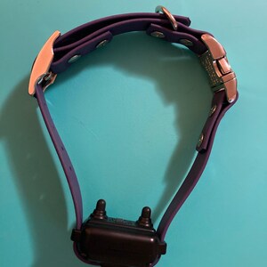 Biothane E-collar Strap - Etsy
