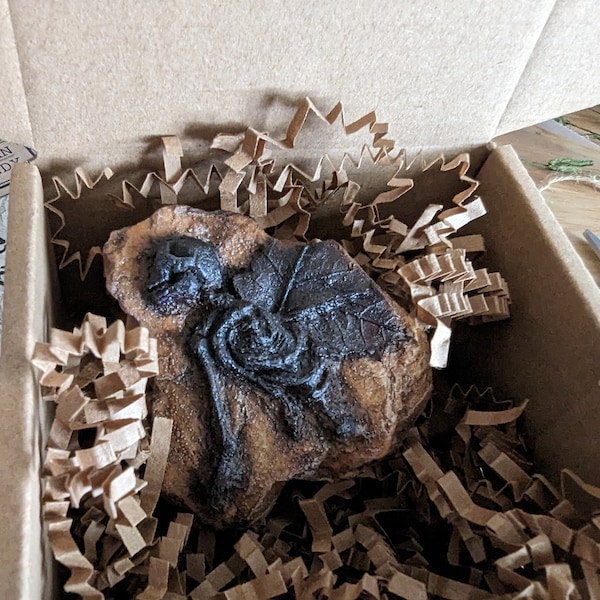 Mummified Faerie Specimen Fairy Skeleton Dead Fairy Curio Cabinet ...