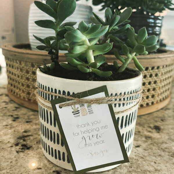 Succulent Plant Gift Tag Teacher Appreciation - End of School Year ...