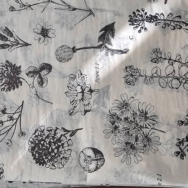 Botanical Tissue Paper 20" X 30" 5-10 Sheets Black & off White ...