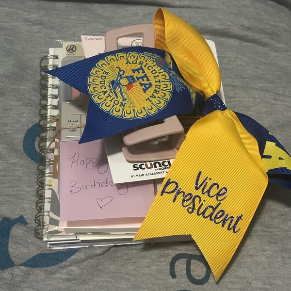 Fair Hair Bow - FFA - Etsy