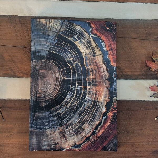 Tree Ring Framed Wall Art, Abstract Colorful Tree Ring Wall Decor ...