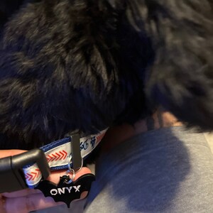 Personalized LED Dog Tag Light up Dog Tag Color Changing - Etsy