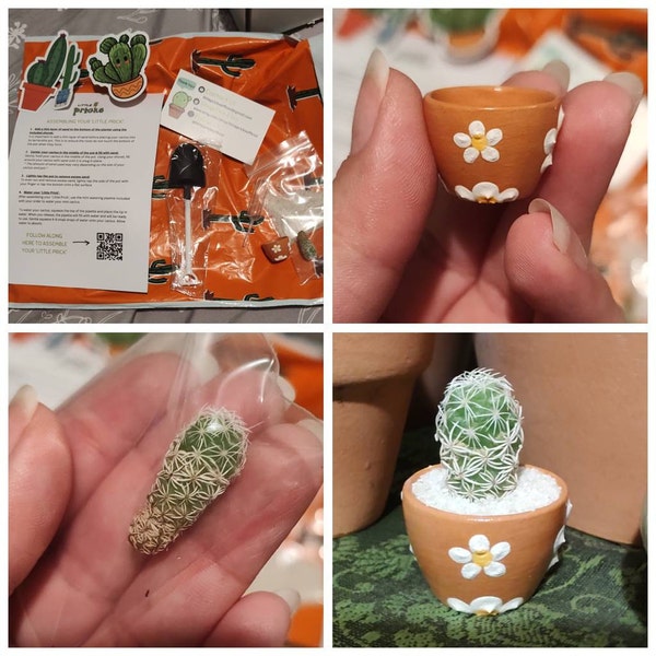 LITTLE PRICKS Miniature Cactus (light Brown) - DIY Cactus Kits, Hand ...