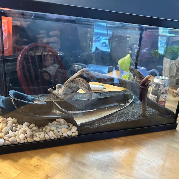 Corner Aquarium Terrarium Cave Hideout – Decorative Shelter for Fish ...