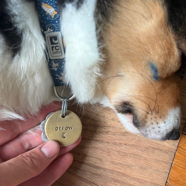 Dog Tag, Leather Tag, Silent ID Tag, Personalized Dog Tag, Small Dog ...