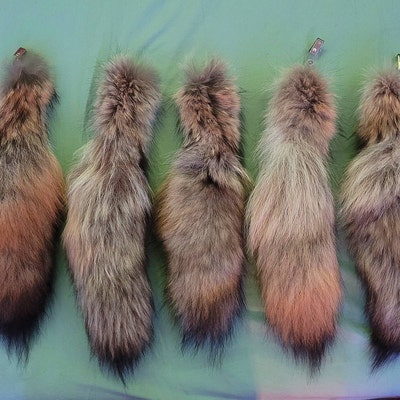 Coyote Fur Tails Set of Five - Etsy