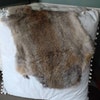 1 Pcs Natural Color Rabbit Fur Pelts Craft Grade Assorted - Etsy