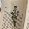 Forget Me Not Laminated Pressed Flower Bookmark With Tassel - Etsy