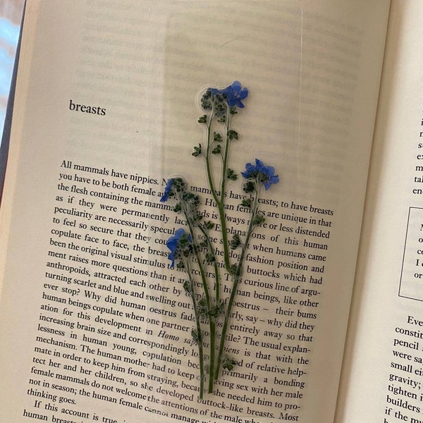 Forget-me-not Bookmark | Real Dried Flowers | Gift for Reader ...