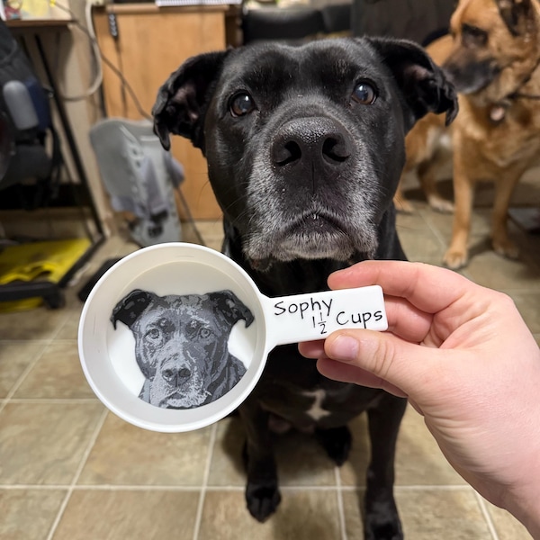 Customized 3D Printed Pet Magnet With Your Pet's Face, Pet Portrait ...