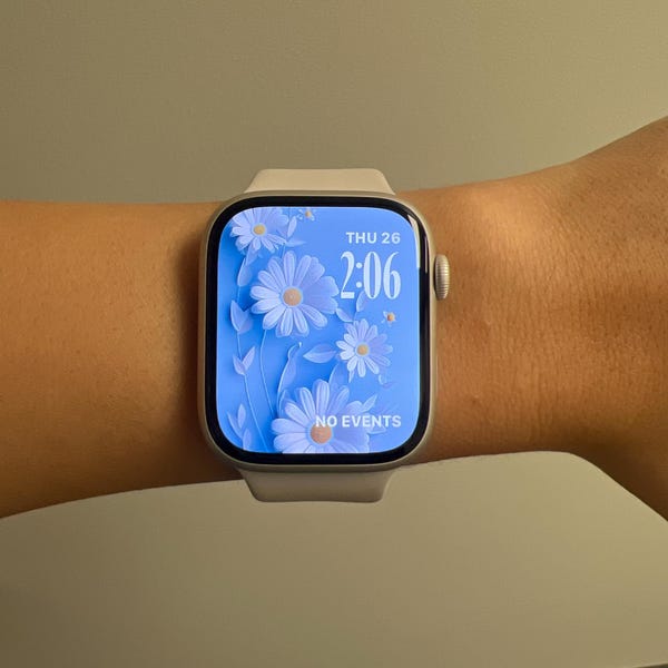 Daisies Apple Watch Face Phone Wallpaper, Baby Blue Spring Floral ...