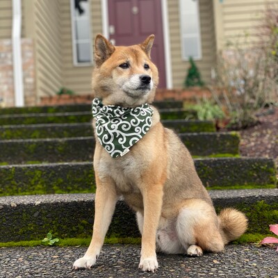 3D Kumo: Japanese Premium Origami Adult Face Mask Black & Gold Cloud ...