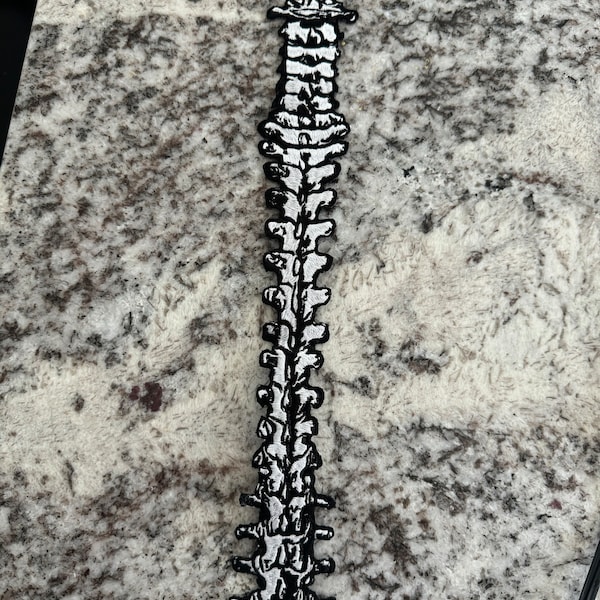 Spine Back Patch • Goth Patch • Patch Bone • Large Patch • Embroidered Patch • Skeleton • Horror ...