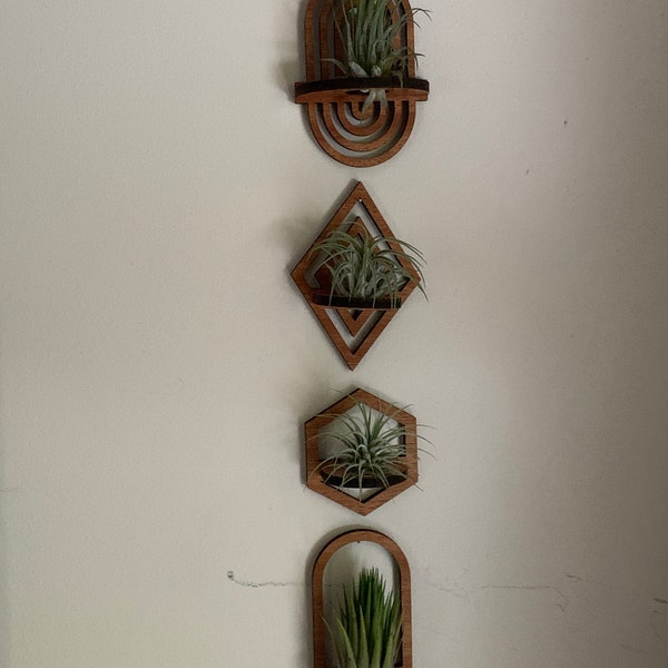 Wall Air Plant Holder Display (hanging) - Air Plant Hanger - Hexagon ...