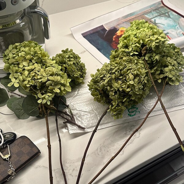 Dried Bunch of 100 Pencil Cattails, Mini Cattails, Fall Decor, Autmun ...