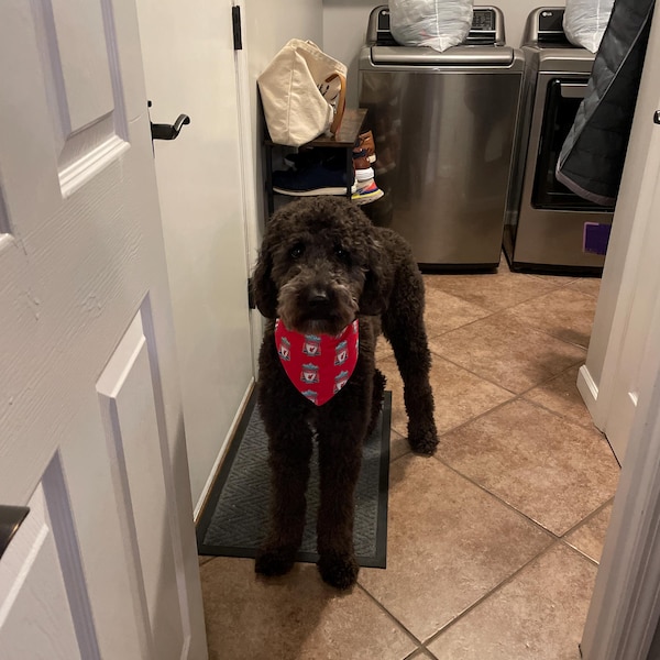 Liverpool FC Iconic Club Crest Print, Pet Bandana for Dog or Cat ...