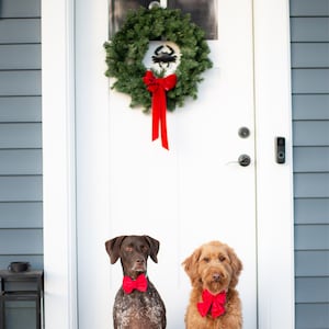 Gingerbread Man Costume Inspired Sailor Bow for Dogs and Cats ...