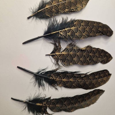 Black & Gold Goose Real Feathers 12cm-22cm Patterns Arts Craft Hats ...