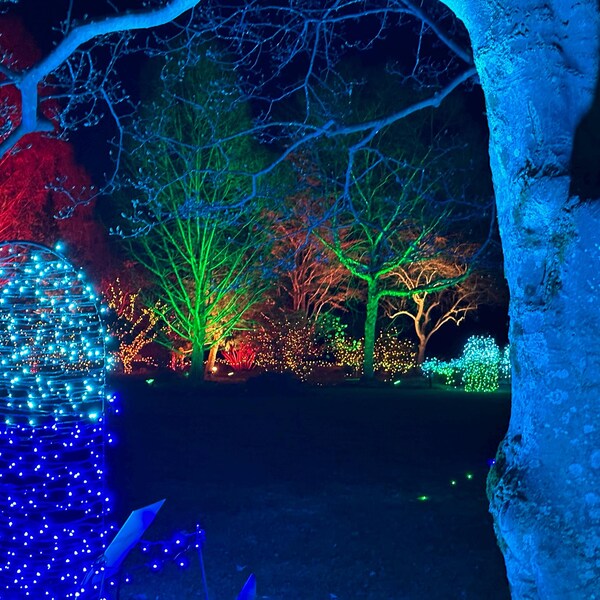 Destin Florida Sign Vinyl Decal/sticker! 5"x1.5". Waterproof! Made in ...