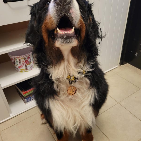 Octopus Garden Pyrography, Wood Burning of Octopus, Octopus Artwork ...