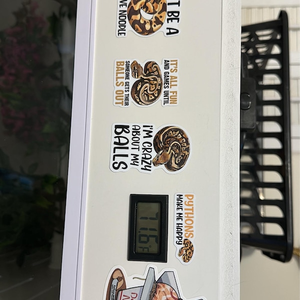 10pcs Physical Education Teacher Stickers Pack, PE Teacher Stickers, PE ...