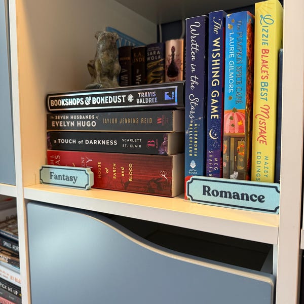 Fancy Bookshelf Labels- Home Library Organization Bookshelf Sections ...