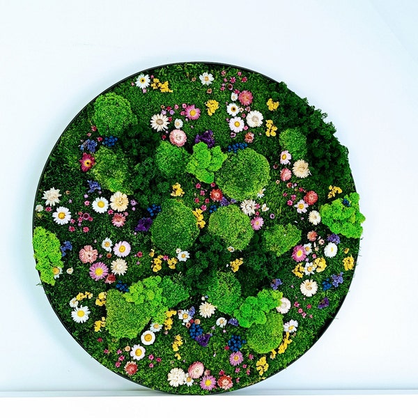 Make Your Own Moss Art, DIY Moss Wall Kit, Round Moss Art Work ...