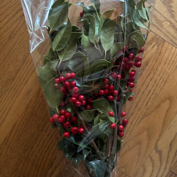 Dried Pepper Grass, Lepidium, Dried Grass, Grass Bunch, Green Grains ...