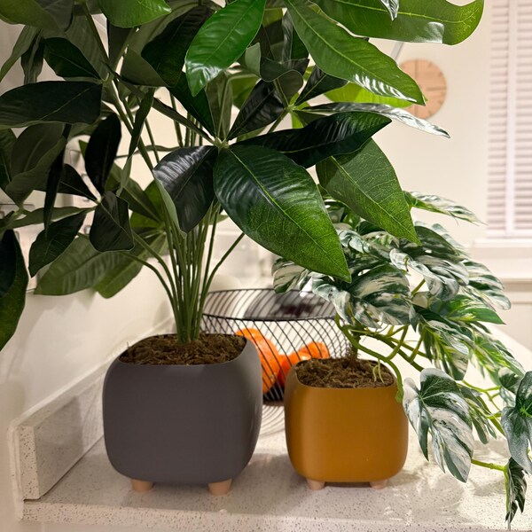 Rounded Cube Pot, Planter, Pot With Feet, Coloured Pot, Indoor Plant ...
