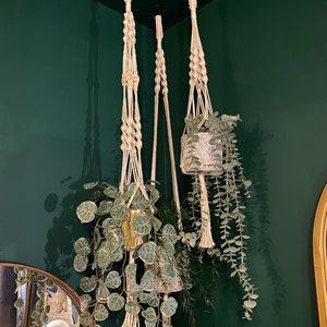 Macrame Ceiling Plant Hanger Indoor, Hanging Wall Planter, Macrame Wall ...