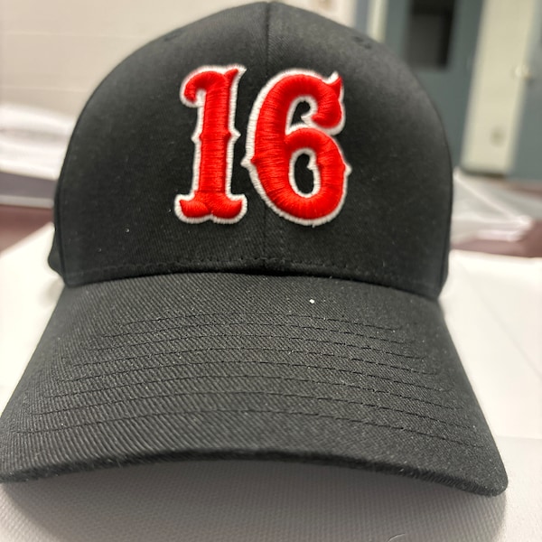 Free Personalization 3D Number Puffed Numbers Embroidered Hat, Fire ...