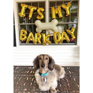 It's My Barkday Balloons Banner Dog Puppy Birthday Party - Etsy
