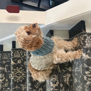 RAINBOW SPRINKLE MITTENS Luxury Handmade Knit Merino Wool Mittens Ready ...