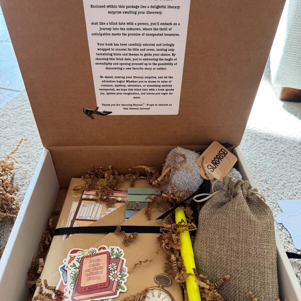 Blind Date With a Book Gift for Book Lover Gift Blind Book Dates Gift ...