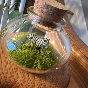 Miniature Ladybug Terrarium by Sbmathieu - Etsy