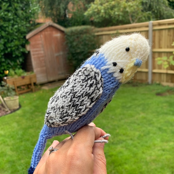 Jarvis Cockatiel Knit Kit All You Need to Knit a Cute Cockatiel Parrot ...